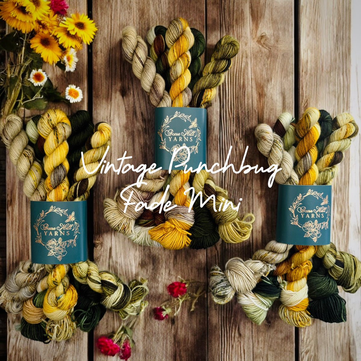 Vintage Punchbug Fade – Rose Hill Yarns